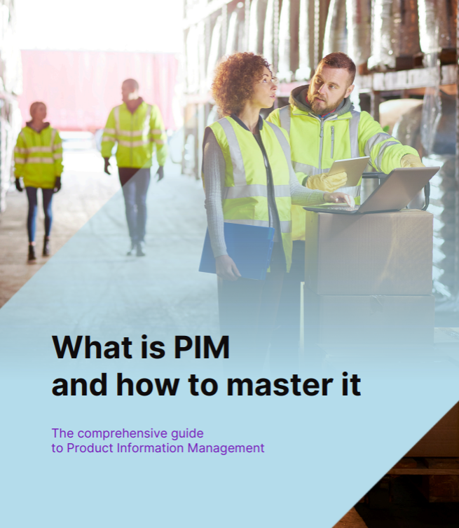 What is PIM - Comprehensive Guide - Your Download